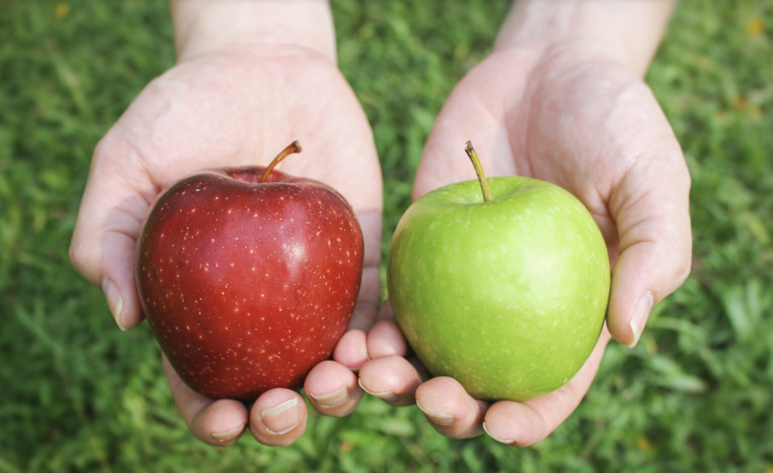 【SCHD】で生活費を配当でまかなう？インフレ時代の資産戦略 - K2 College